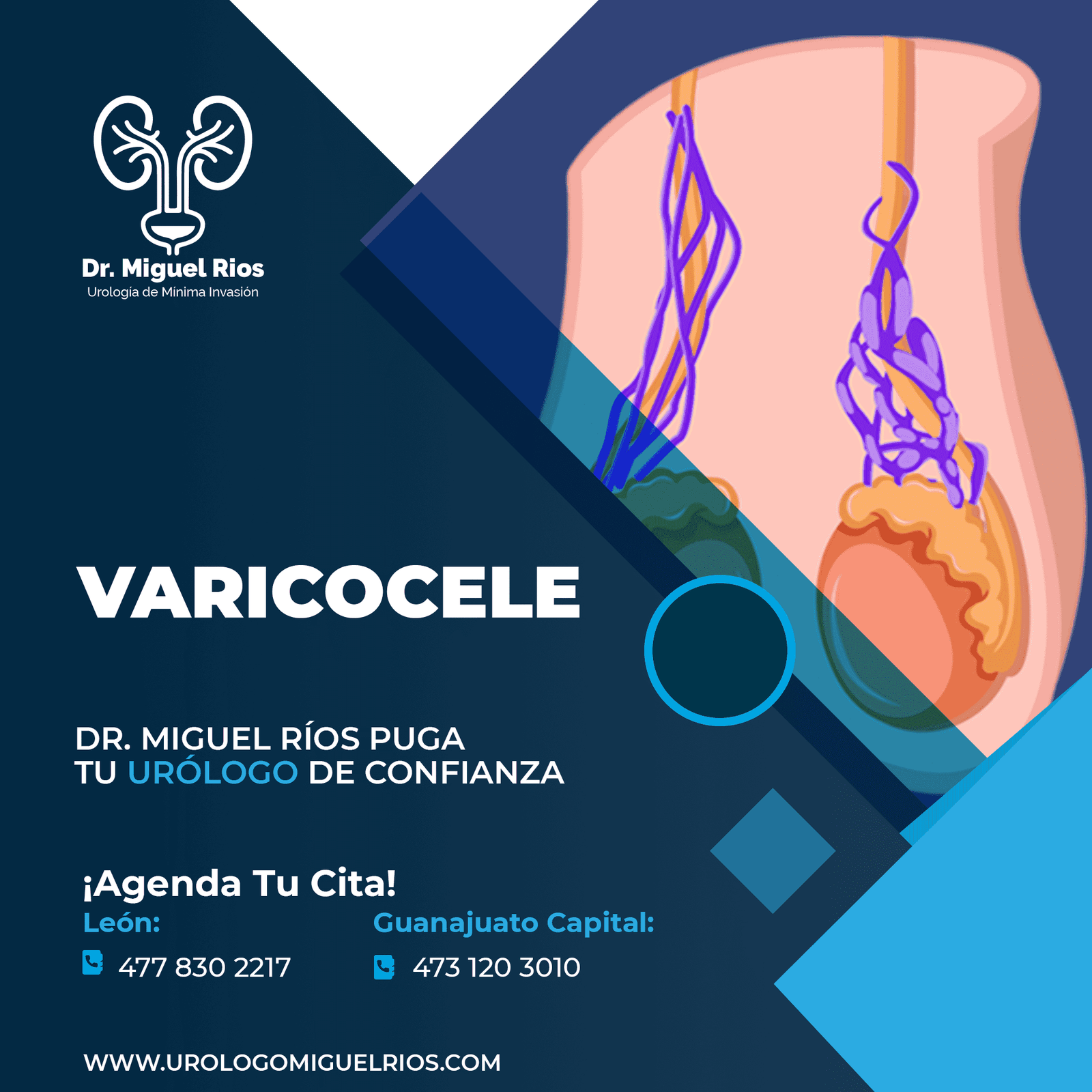 Enfermedades Tratadas - Dr. Miguel Rios Puga